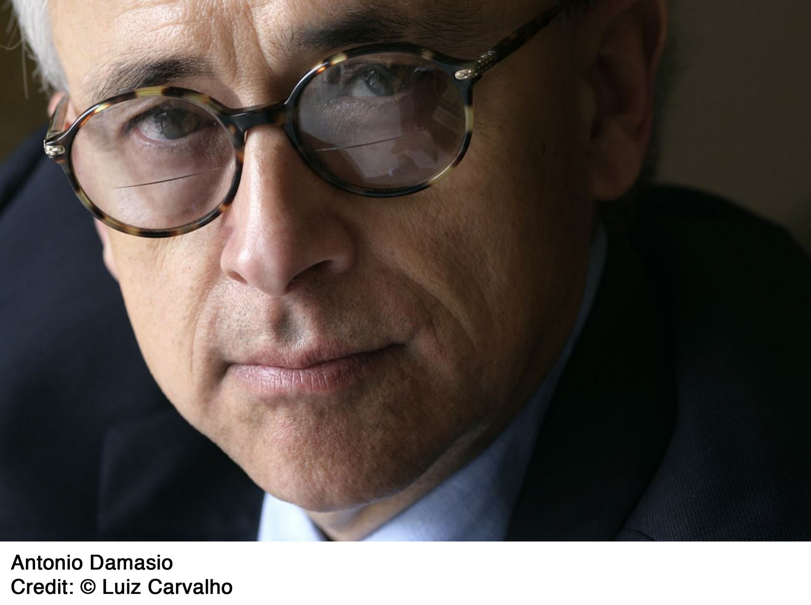 Piazza Camões: “Dialoghi del Premio Nonino” Il neuroscienziato ...