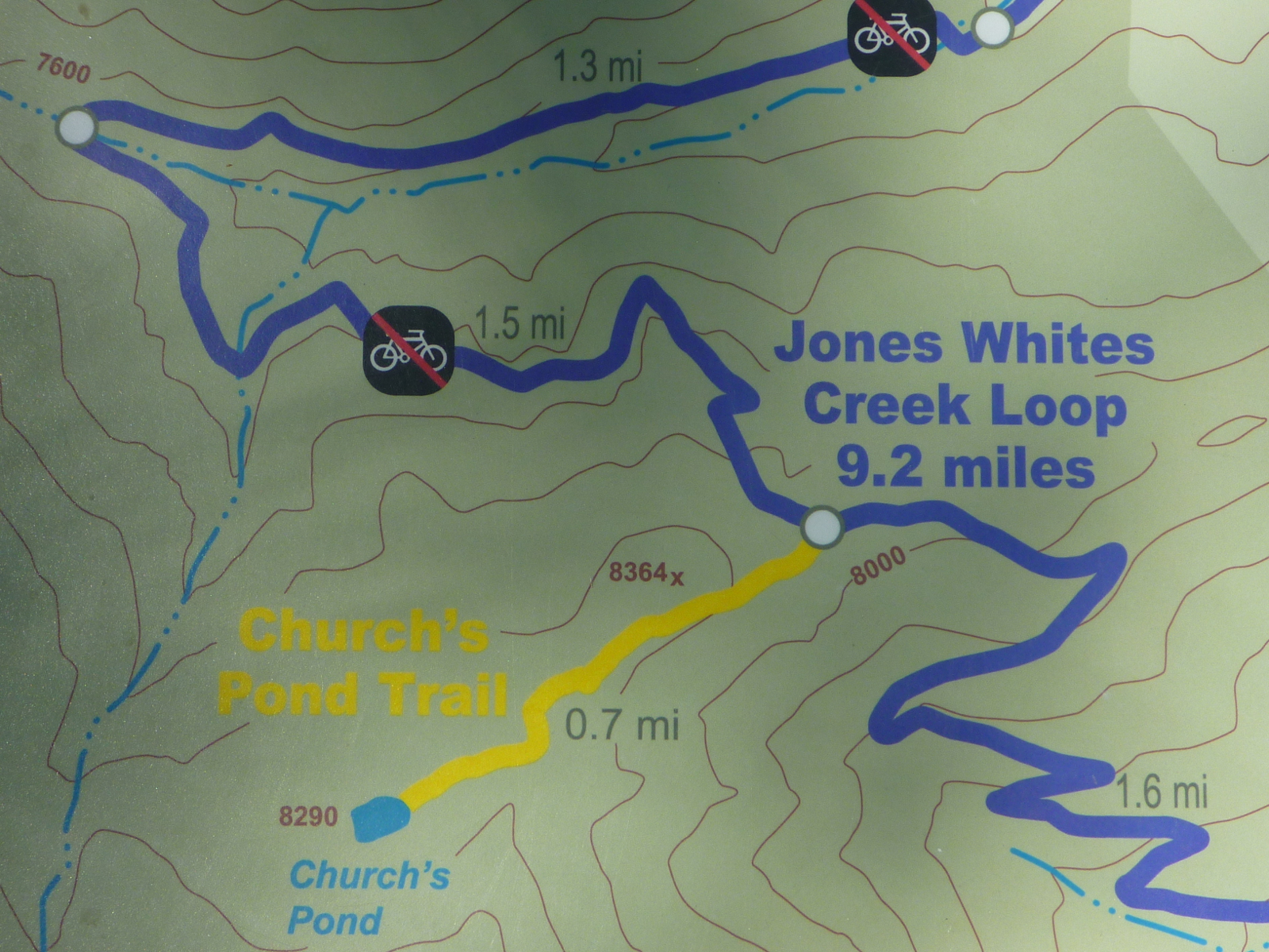 Trailing Ahead: Church's Pond Trail