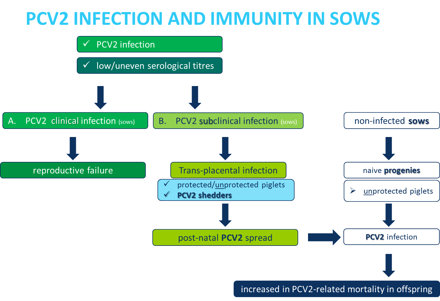 written straight from THE PIGS' PEN: The pig's placenta: in sickness ...