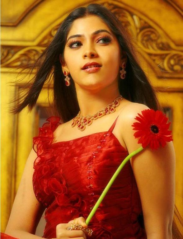 South Actress Muktha Bhanu Photo Collections - Spicy Imagelite