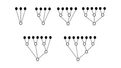 Sara does Bioinformatics: Counting Phylogenetic Ancestors