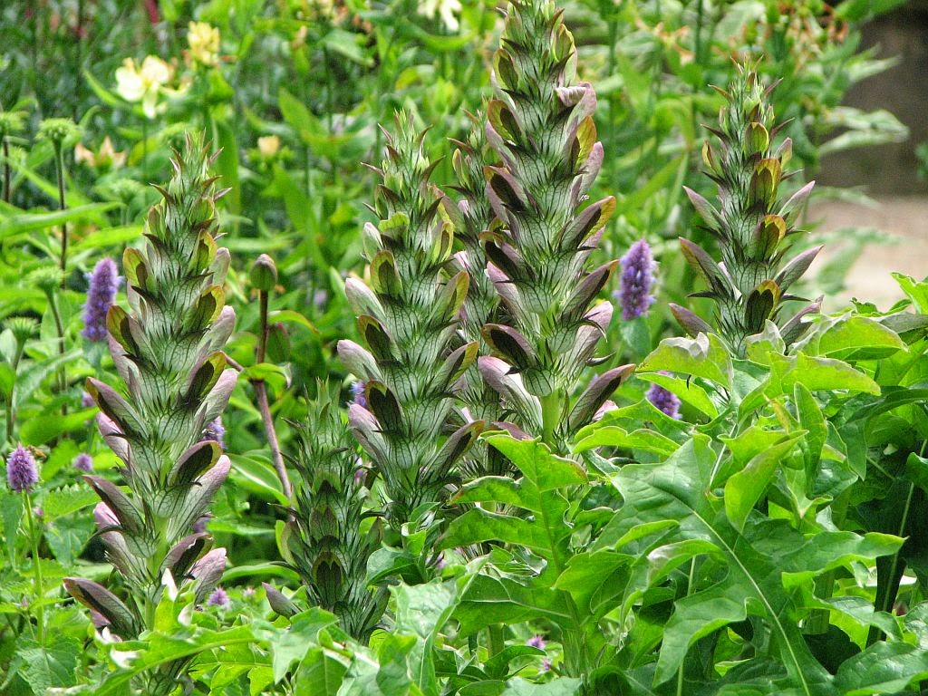 kahe valla piiri peal: seisan keset juulit...