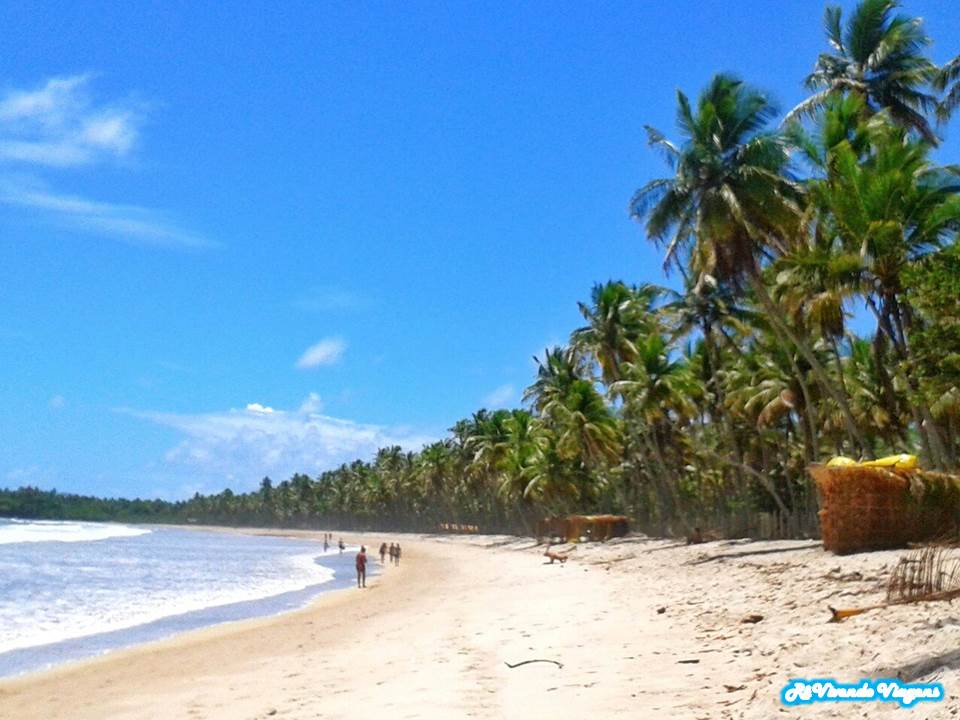 RêVivendo Fotografias: Praia da Cueira, Boipeba - BA - RêVivendo Viagens