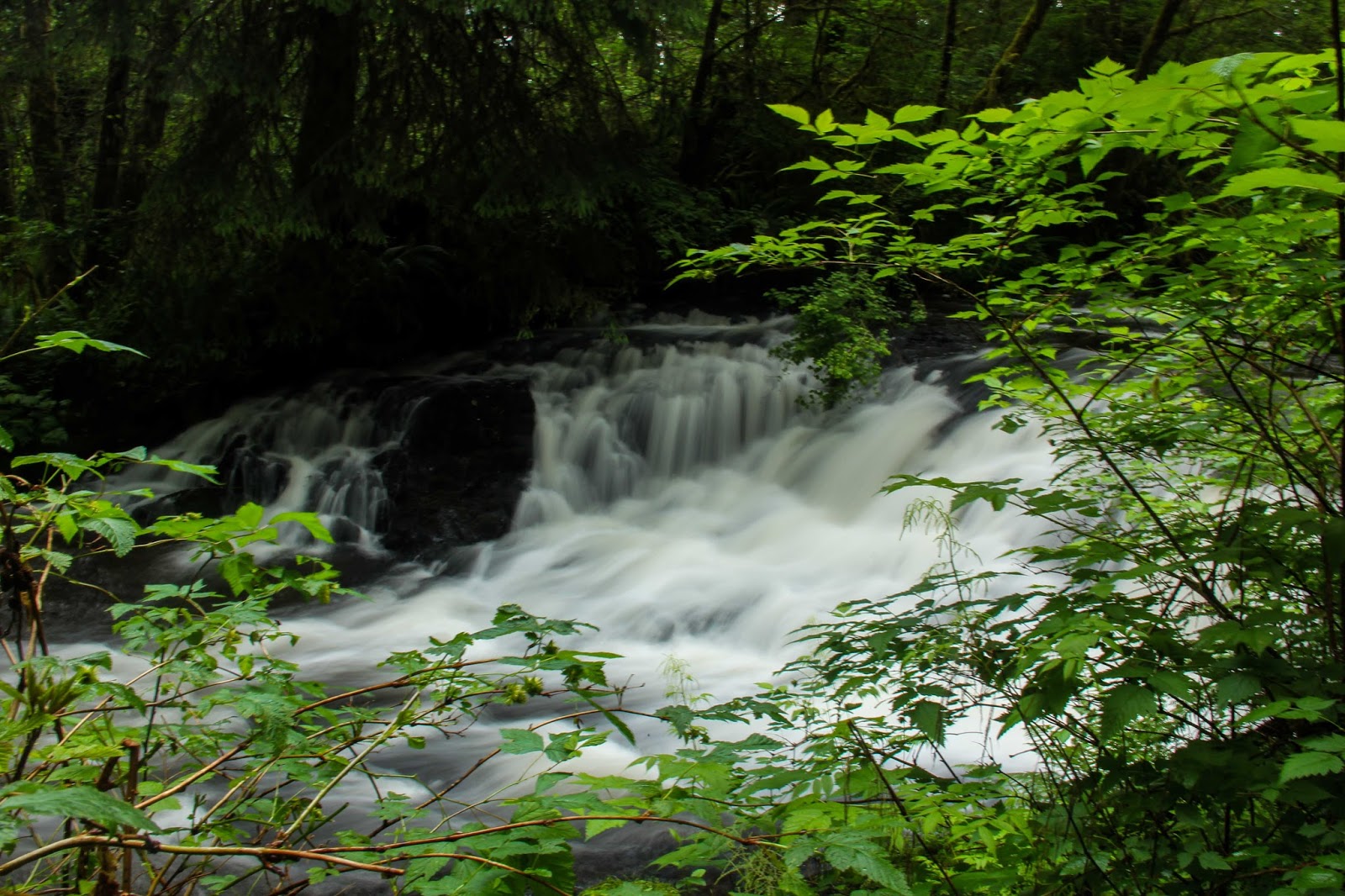 Illuminations from the attic: Barrier Falls