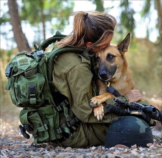 Assoluta Tranquillita: IDF’s Dogs in Gaza: A Fighter’s Best Friend