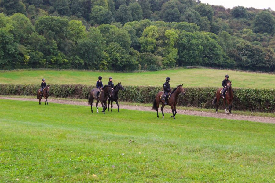 Andrew Balding, Park House Stables, Kingsclere Visit...