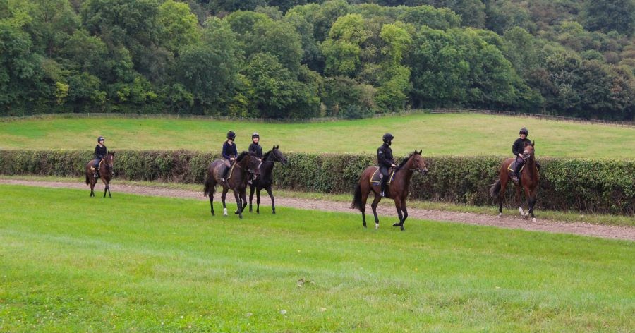Andrew Balding, Park House Stables, Kingsclere Visit...