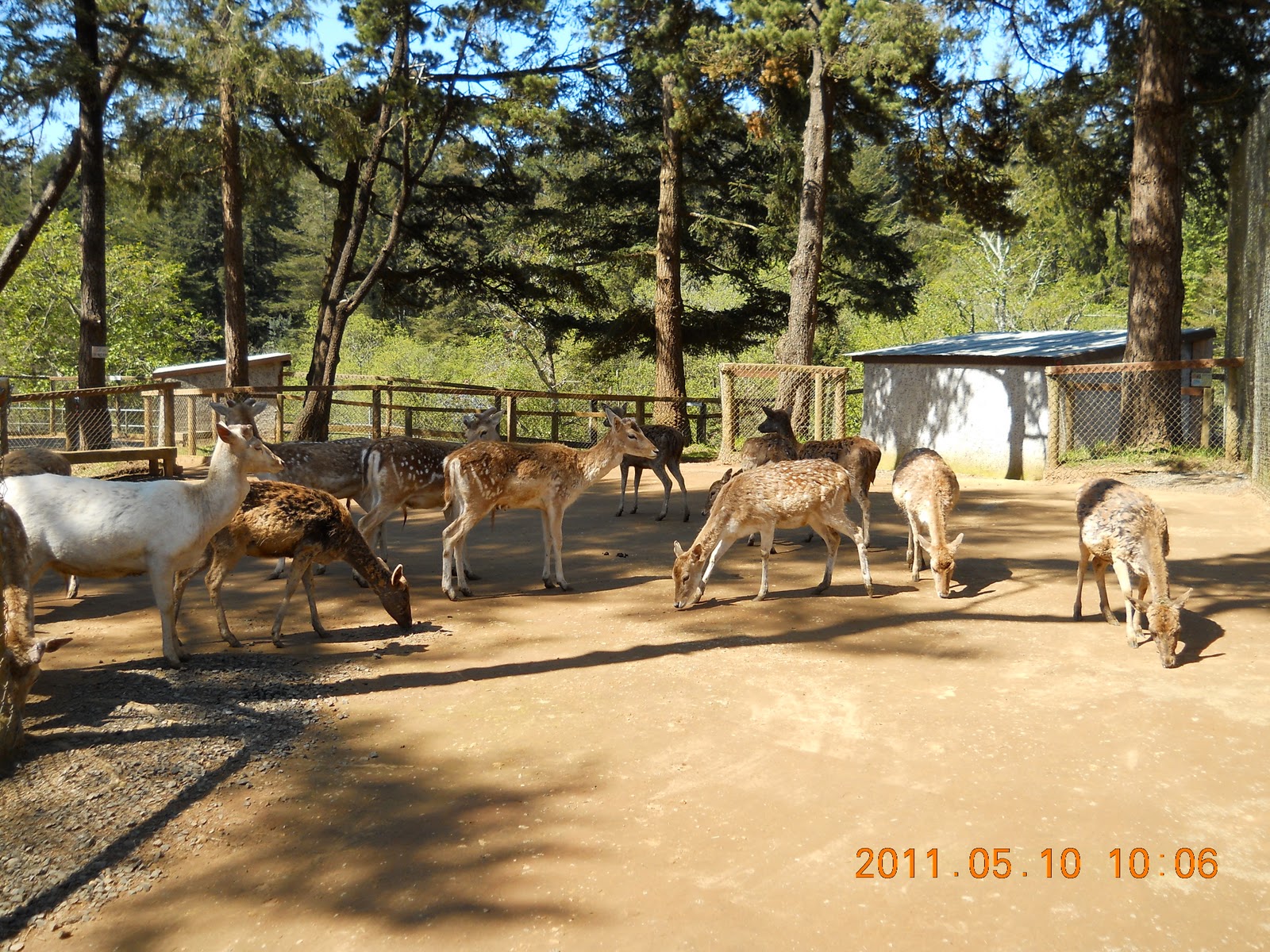 Thom Zehrfeld Photography : West Coast Animal Park | They're Just Plain ...
