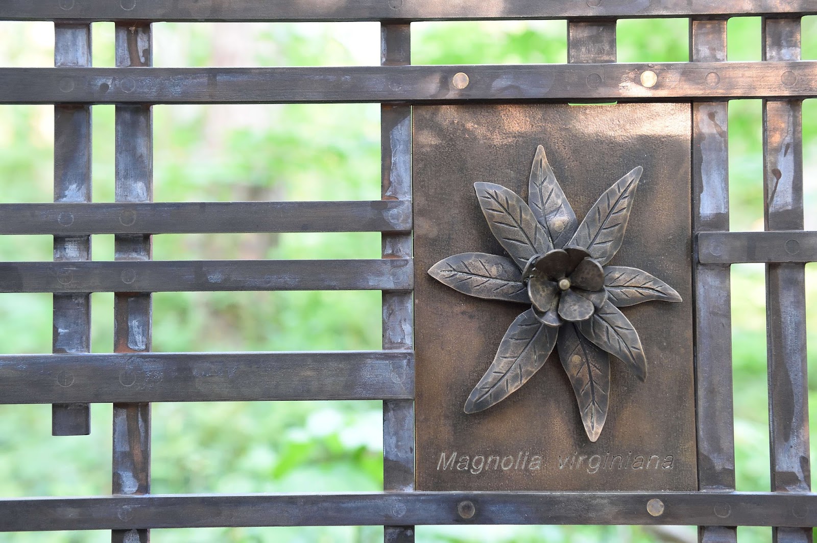 gardens@duke: The Blomquist Garden of Native Plants: A Museum in the Woods
