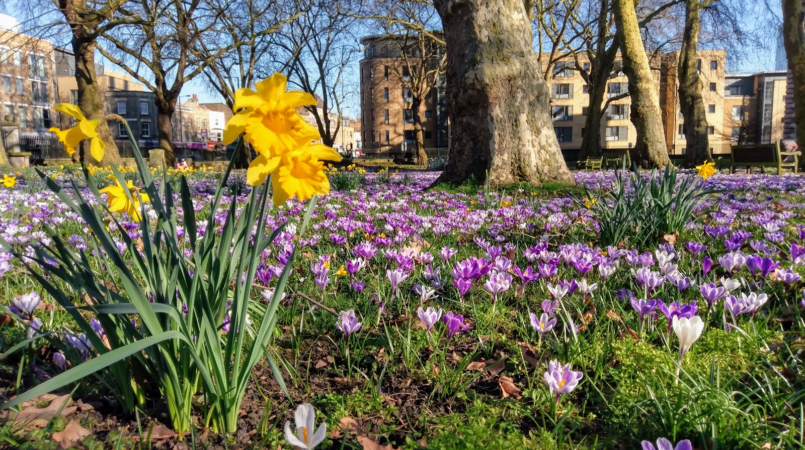 【英國旅行】別被英國「Fool's Spring 愚人春天」騙了，冬衣晚一點再收吧！