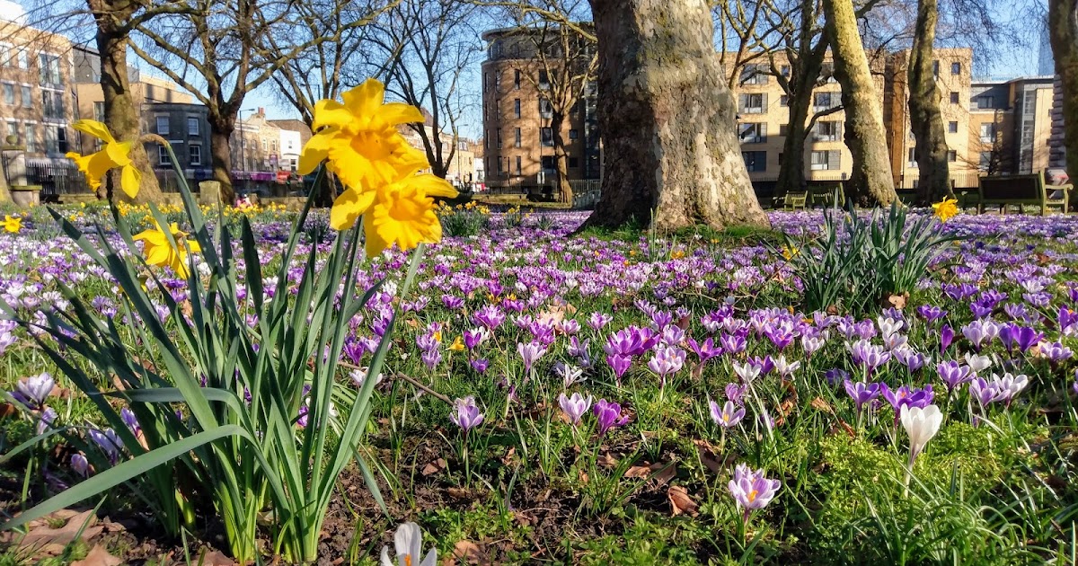 【英國旅行】別被英國「Fool's Spring 愚人春天」騙了，冬衣晚一點再收吧！