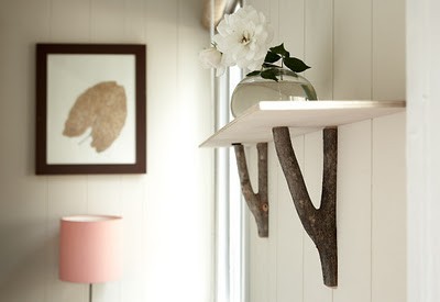 Tree Limb Shelves