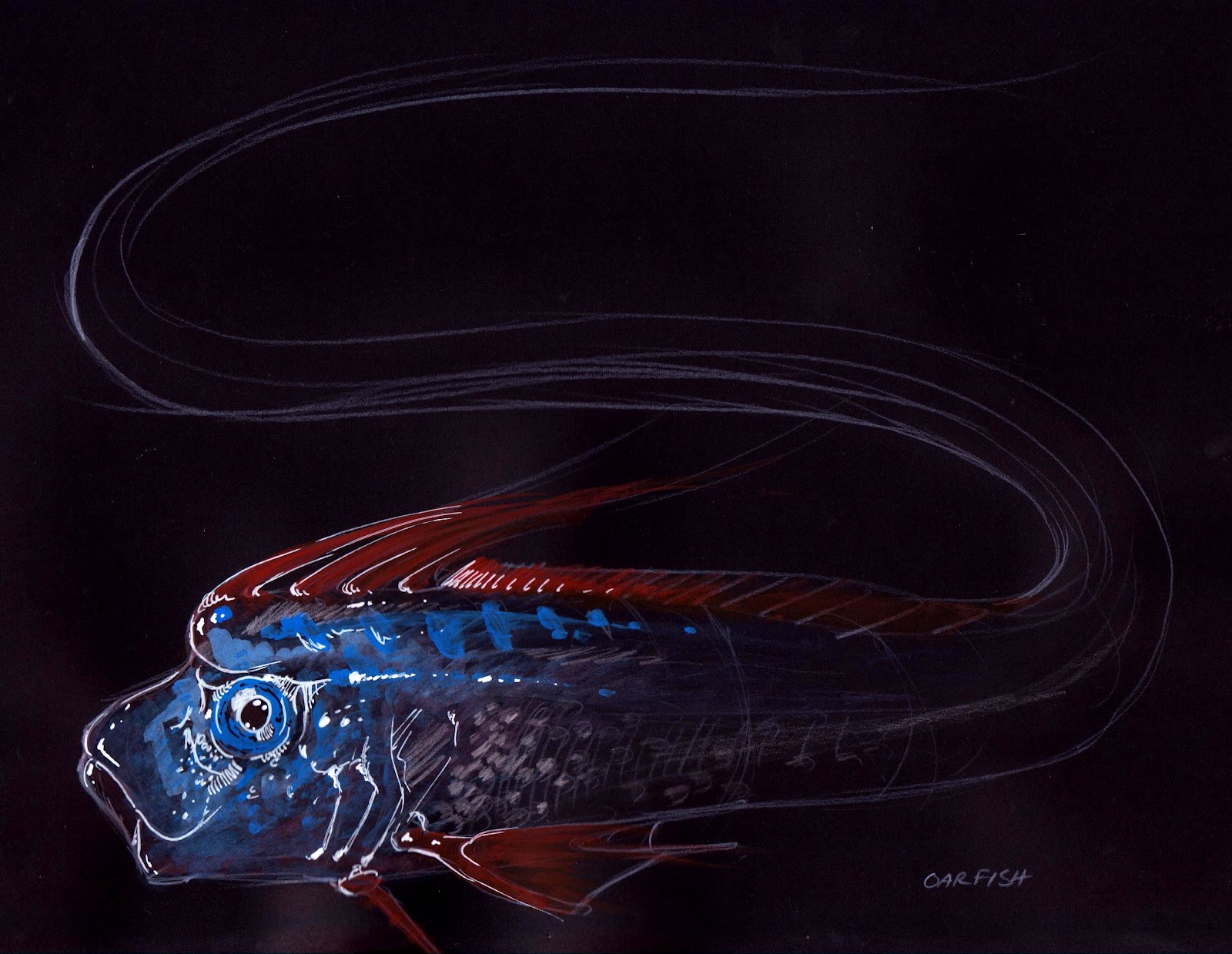 Tyler Chow: Deep Sea Creatures! Bioluminous Gouache