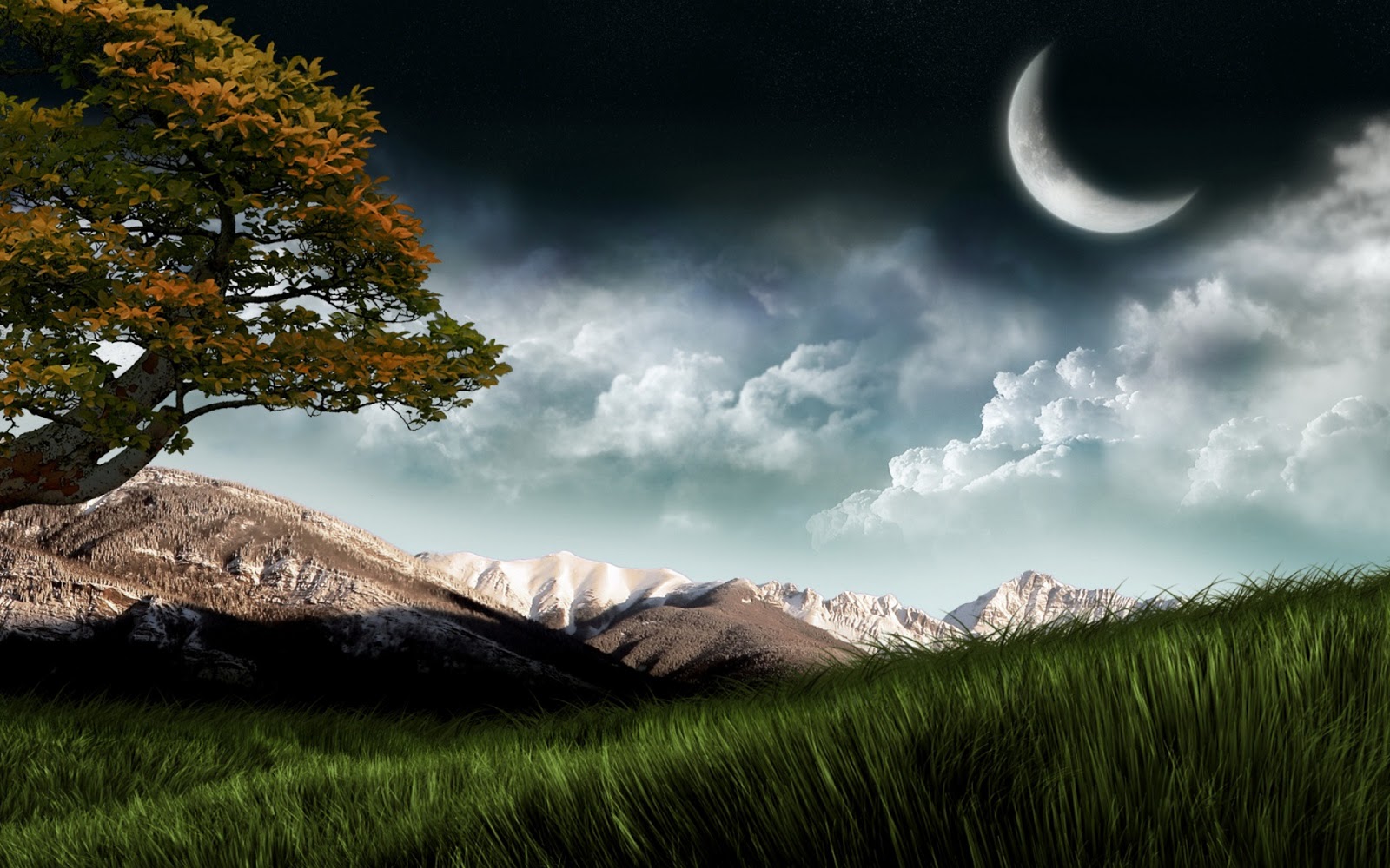 More Creative and Beautiful Wallpapers | Wallpapers-Wallpaper Free 3979