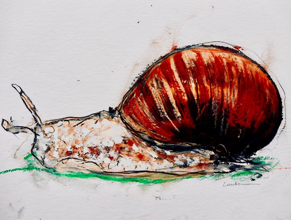 ZOOZAAANIMOO'S : ECH CALIMUCHON odin CHEL'ESCARBOT coére CH'CARACOL in ...