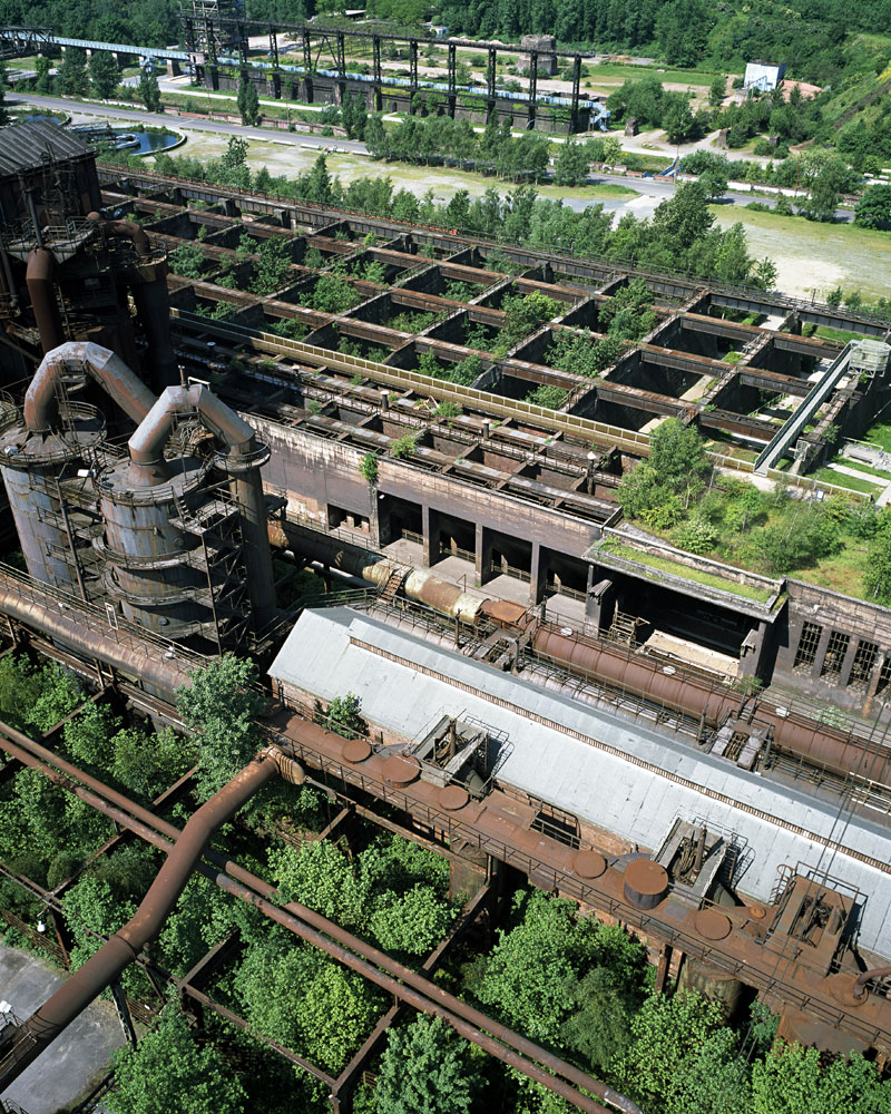 Berrybower Landscape: Inspirations