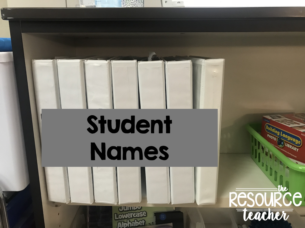 The Resource Teacher: Independent Writing Ideas