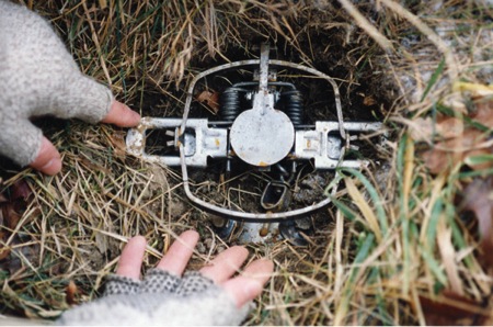 FOR 242: Elements of Proj. Supervision in Forestry: Traps, Trapping ...