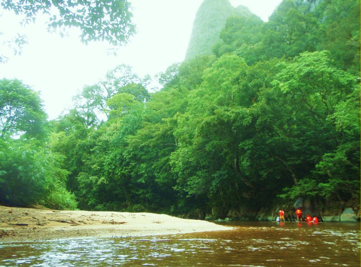 Cats City Hornbill Land: PADAWAN FEST RIVER SAFARI