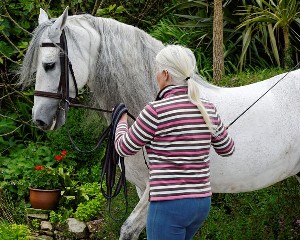 The Ednovean Diaries: Have you met Danilon?