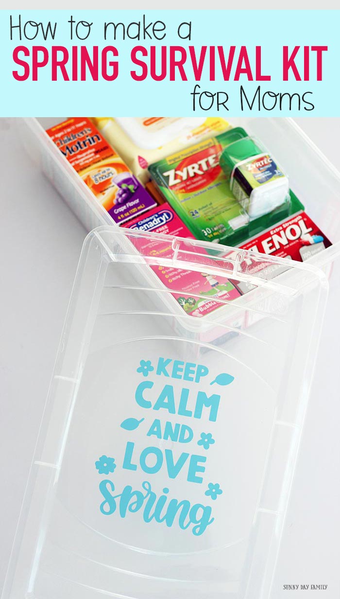 How to Make a Healthy Spring Survival Kit for Moms | Sunny Day Family