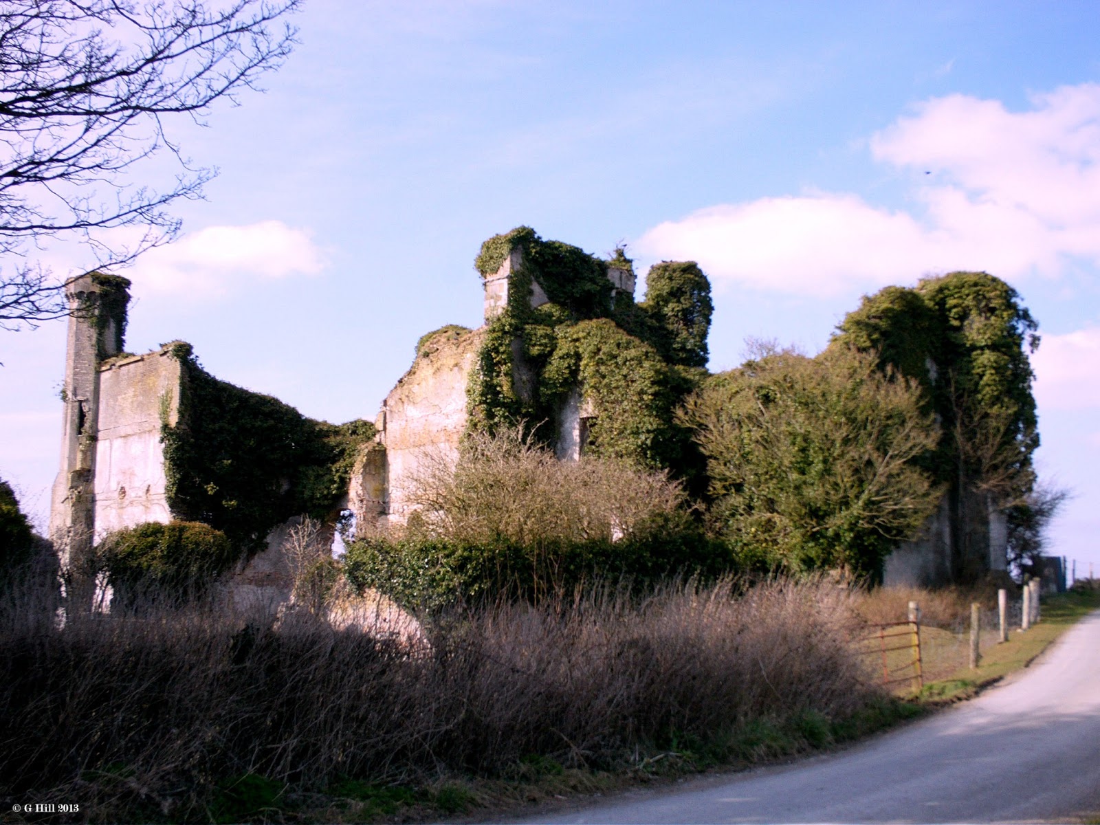 Ireland In Ruins: Moydrum Castle Co Westmeath