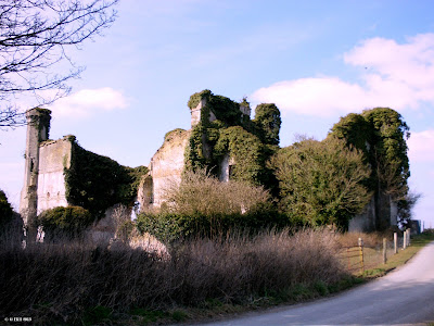 Ireland In Ruins: Moydrum Castle Co Westmeath