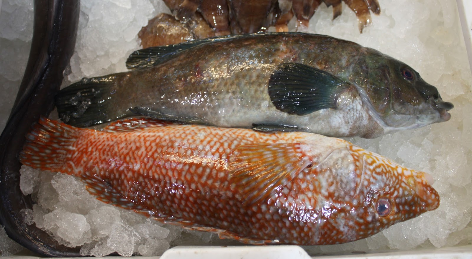 Aquí se cocina: Maragota al horno con verduras