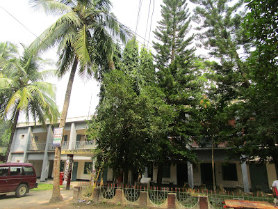 Rajbari District: The Part Of Picture in pangsha Upazila(Rajbari)