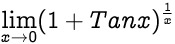 Math Principles: Indeterminate Form - One Raised Infinity