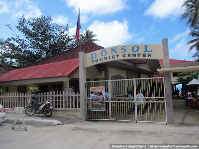 Swimming with the Whalesharks at Donsol : Schadow1 Expeditions | A ...