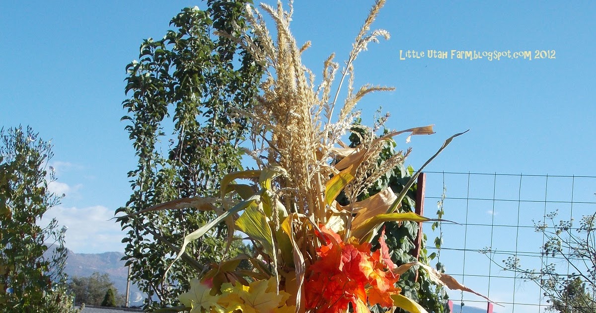 Little Utah Farm: How I Made My First Corn Shocks --Our Farm Journal ...