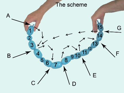 CLASSICAL: One balloon body