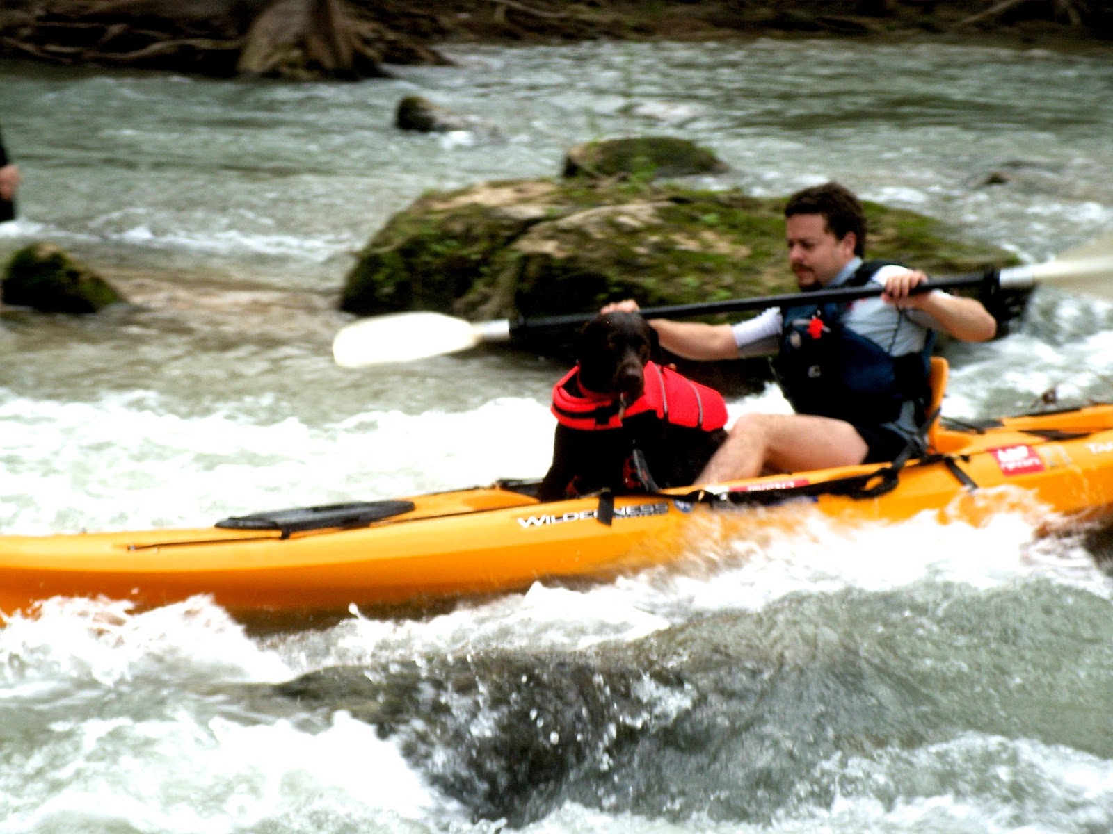 Chuck's Adventures: Kayaking San Antonio's Guadalupe River