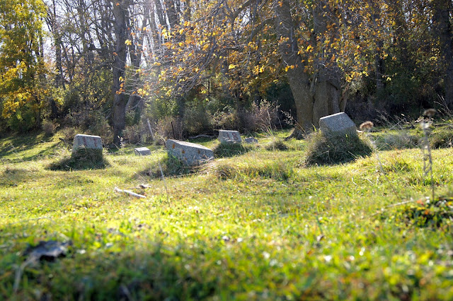 Who will make me laugh: Fall Drive with Dad, Part 2