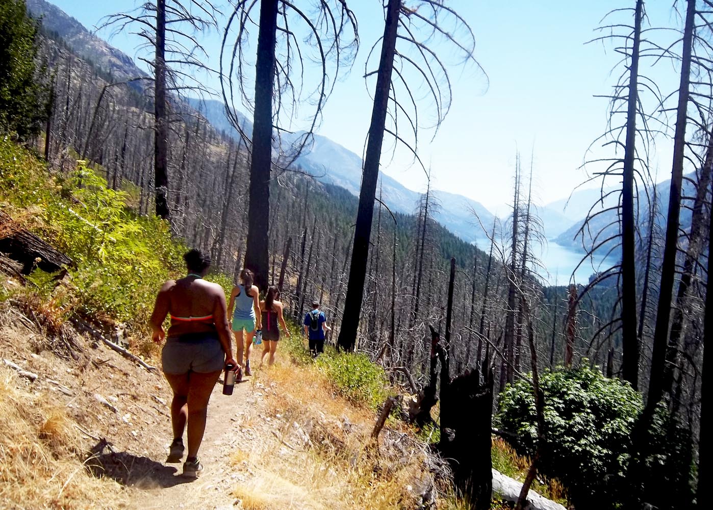 Stehekin Heritage: Take a Stroll on the Rainbow Loop Trail
