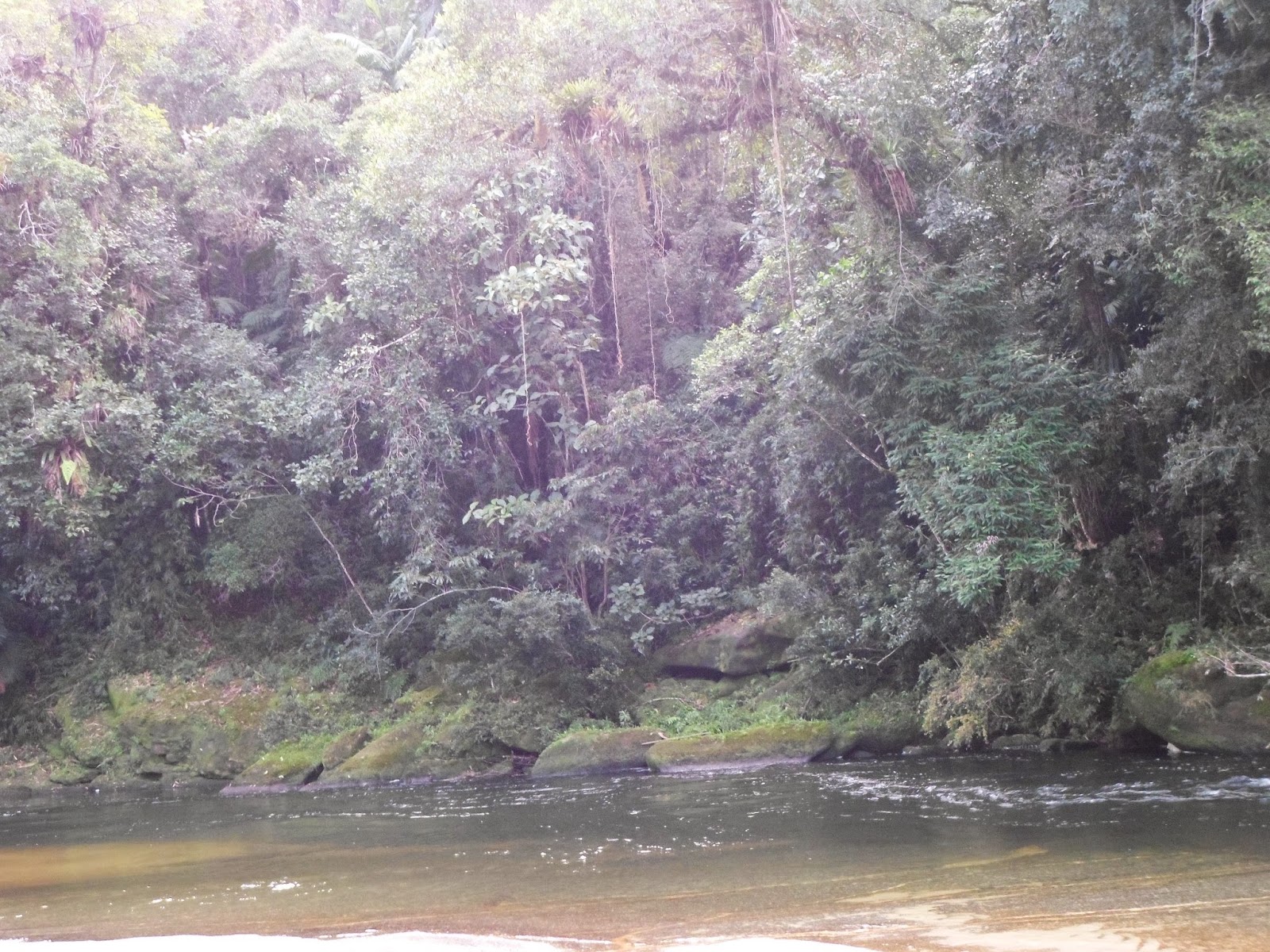 Trilhas e Viagens: Nucleo Santa Virginia