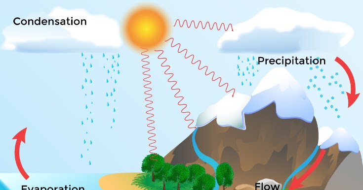 متعة العلوم: ما هى دورة المياه (water cycle)؟