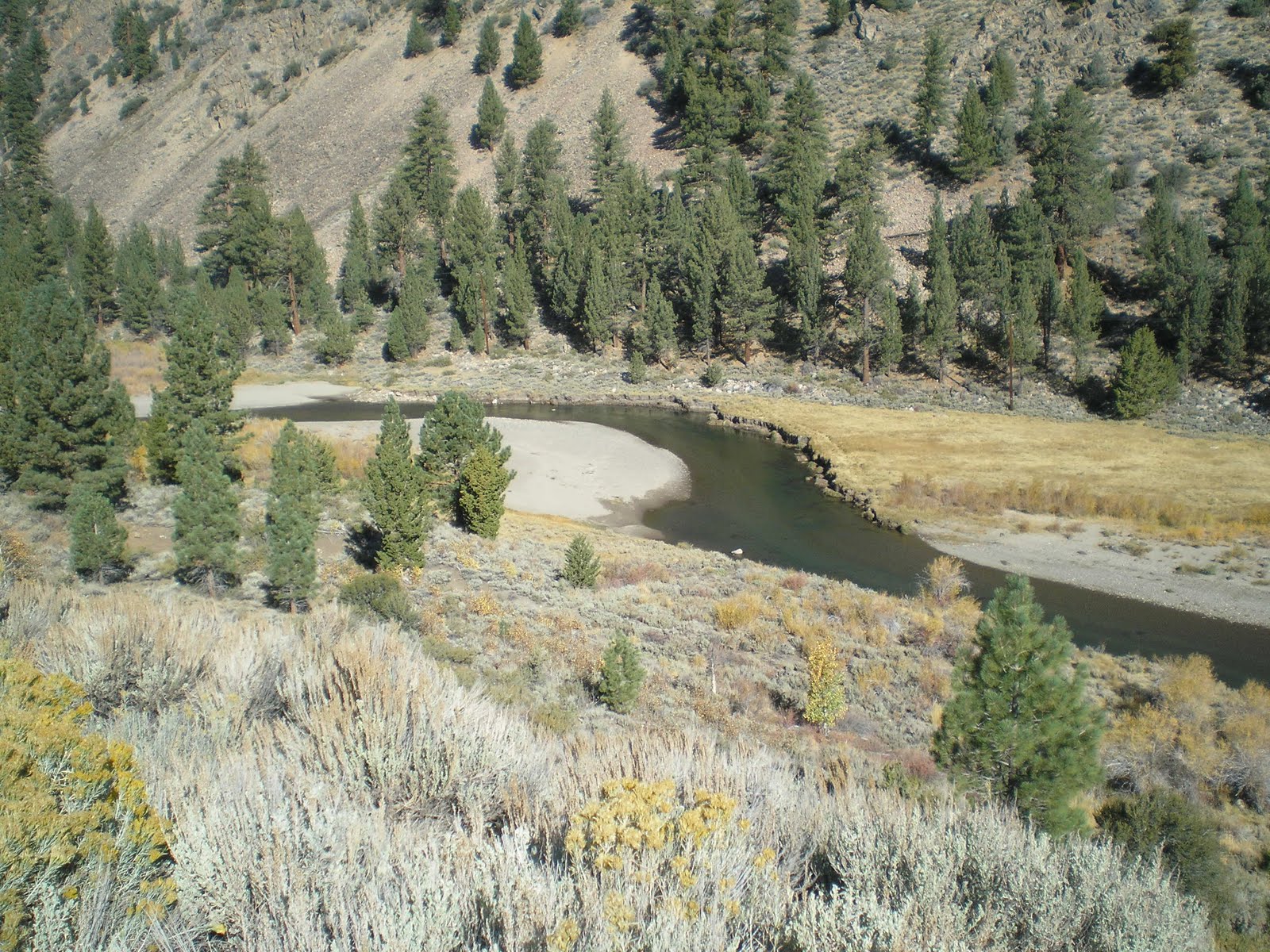 The Road Genealogist: Davis Creek CG to Genoa to Sonora Junction