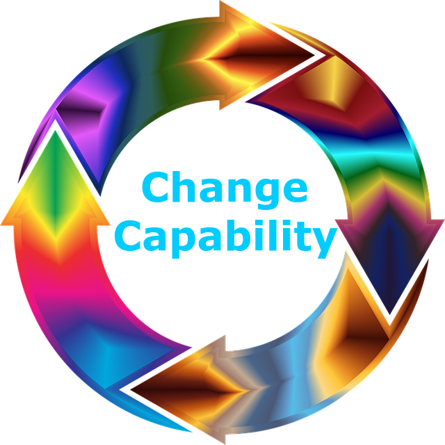 The New Book “Change Insight” Introduction Chapter 5 Change Capability ...