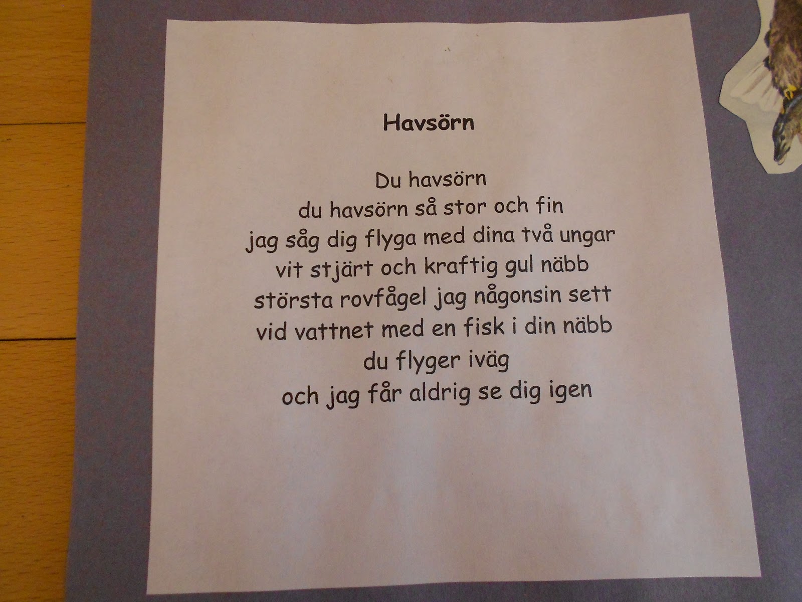 BIBLIOTEKSKVACK