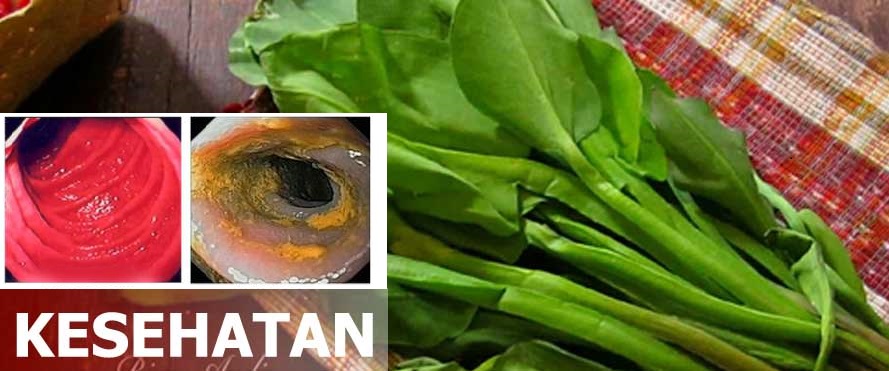 Manfaat Luar Biasa Sayur Genjer Untuk Kesehatan Pencernaan Manusia ...
