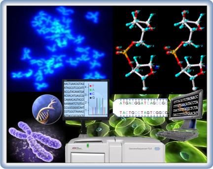 Lagi - lagi Bioinformatika | Tulisan Sederhana