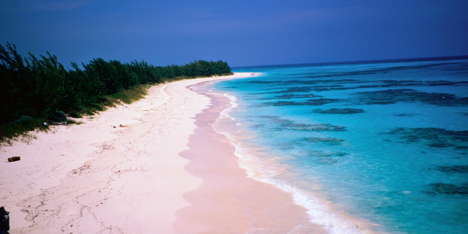 Pink Sand Coral Beach Bahamas. - Las Mejores Fotografías del Mundo