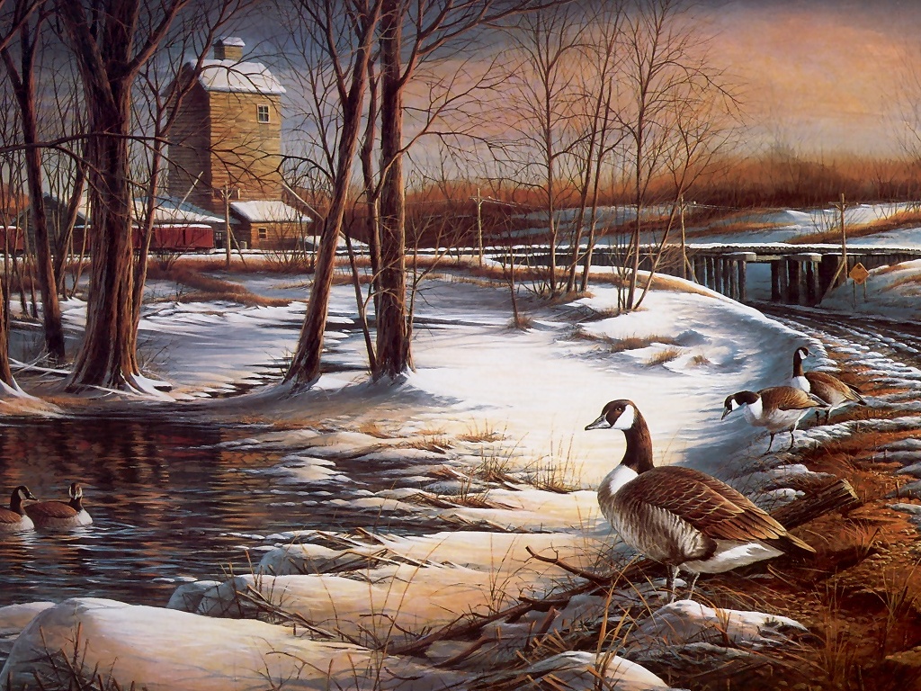 Terry Redlin Art ~ Photos Art