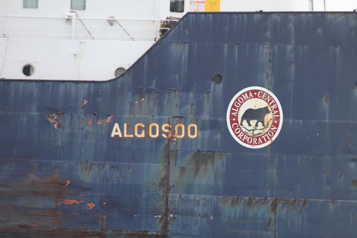 Michigan Exposures: The Algosoo Again