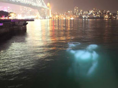 The Land of Melting Shadows: Weird Wednesday ~ Underwater Ghosts