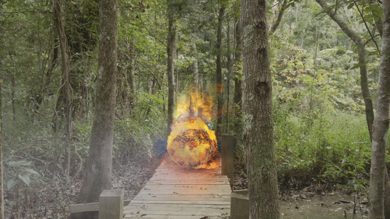 CHIN Software & Game: ★★ SnakeHead Swamp (2014) Action Movie