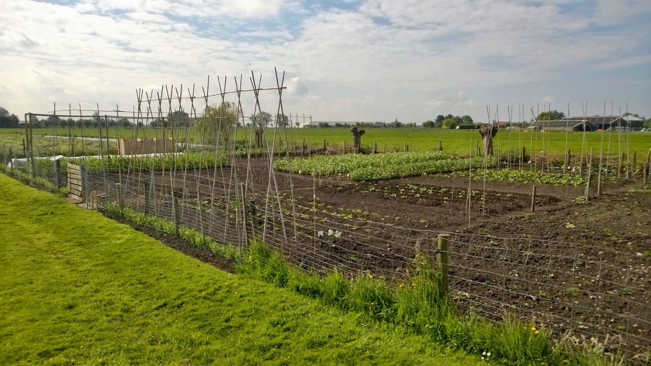 Moestuin De Banken: 2016