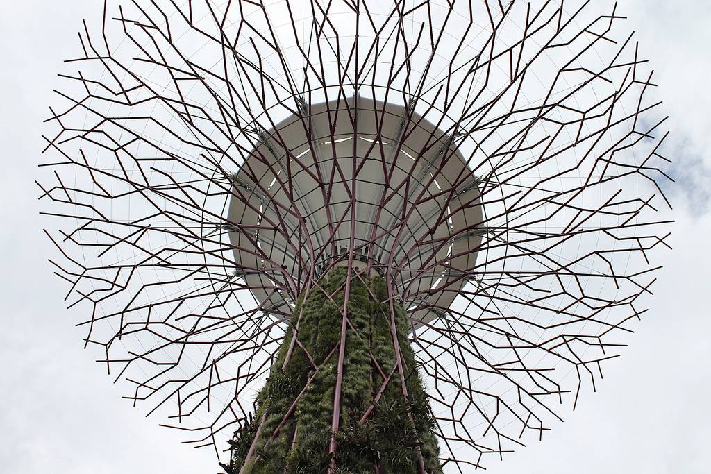 The Supertrees of Singapore ~ Kuriositas